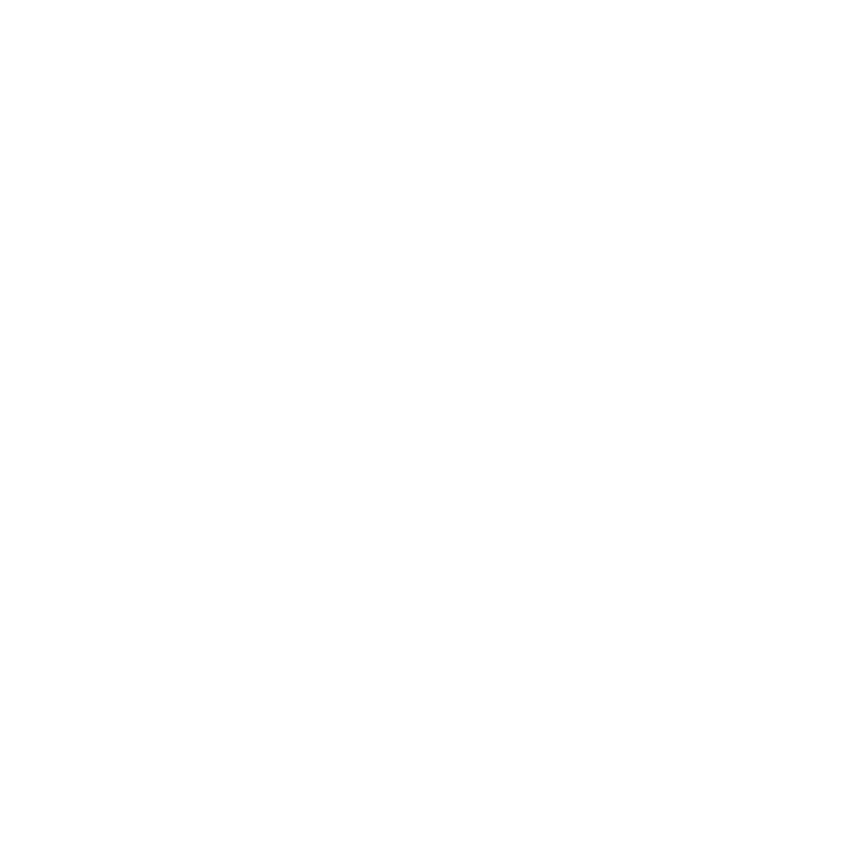 NV-logo-trans-square – Epic Image Design Studio